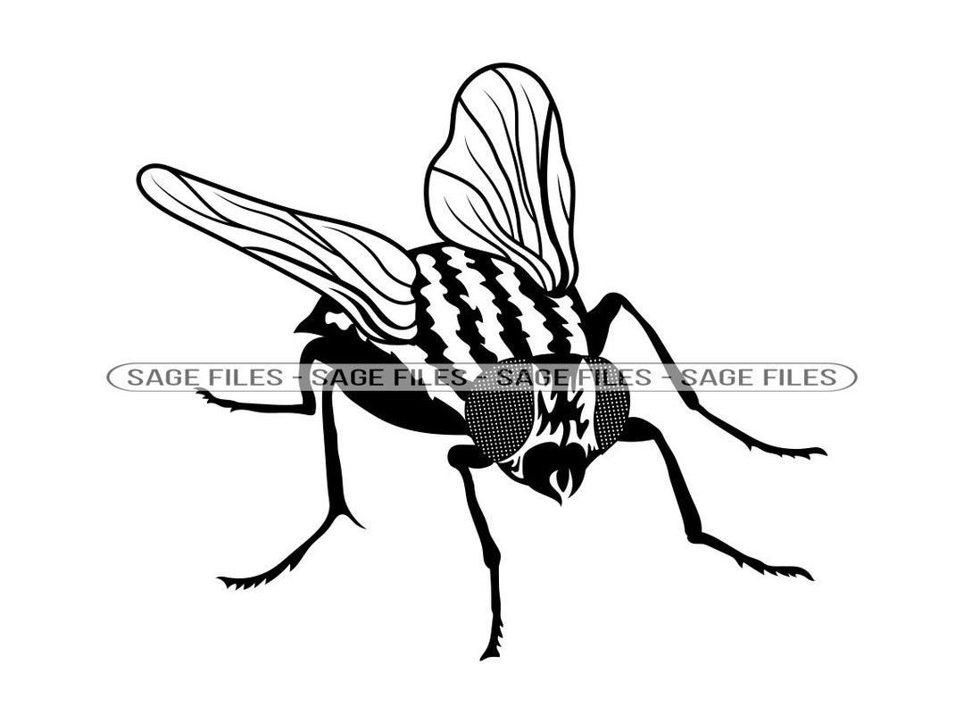 Fly 7 SVG, Fly Svg, Flies Svg, Insect Svg, Fly Clipart, Fly Files for ...