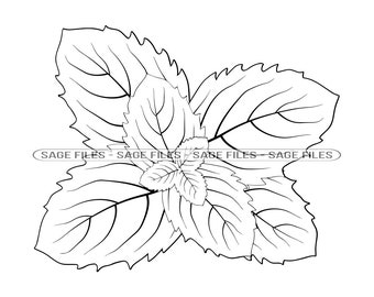 Mint Outline Svg - Etsy