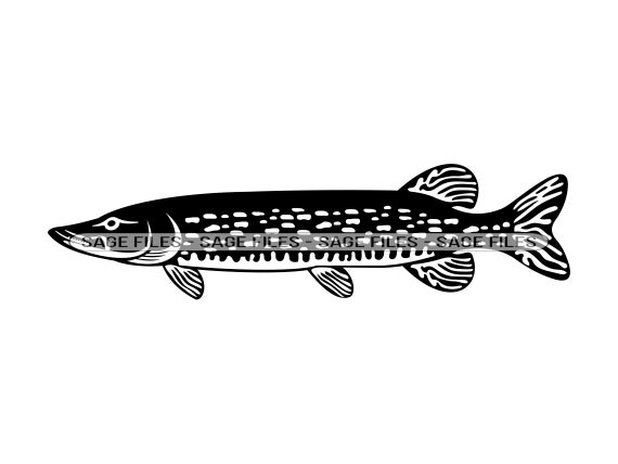 Northern Pike 2 SVG Fishing Svg Fish Svg Fishing Clipart - Etsy