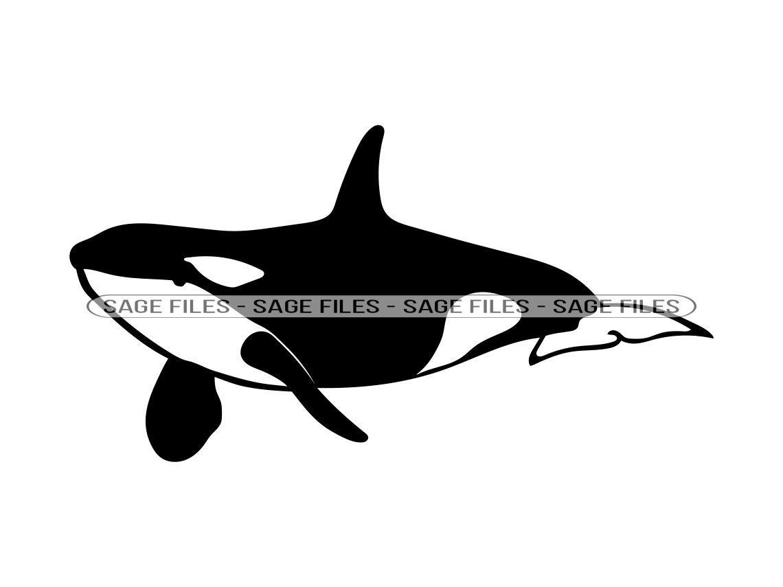 Killer Whale 9 SVG, Orca SVG, Killer Whale Clipart, Orca Clipart ...