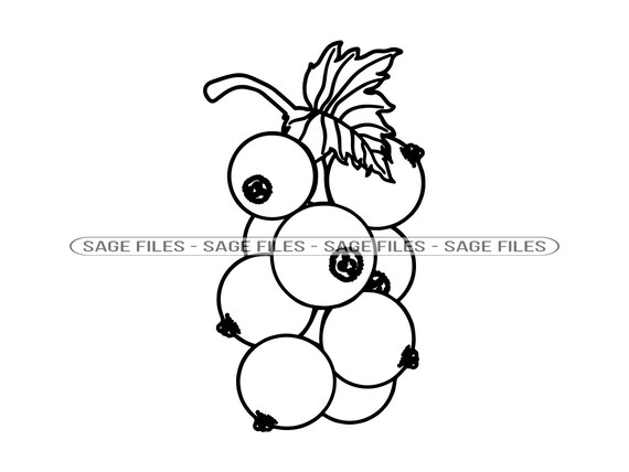 Black Currant Outline SVG Fruit Svg Black Currant Clipart - Etsy