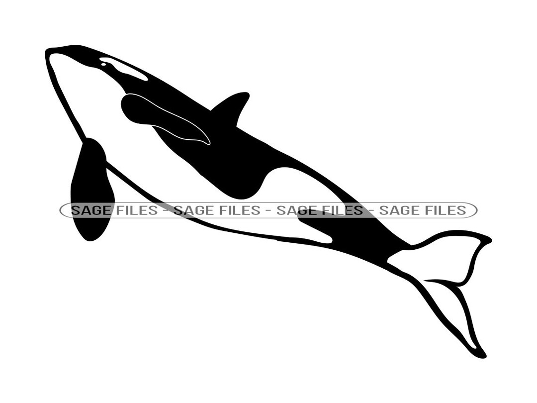 Killer Whale 8 SVG, Orca SVG, Killer Whale Clipart, Orca Clipart ...