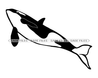 Orca SVG Bundle, Killer Whale SVG, Killer Whale Clipart, Cut Files for Silhouette, Files for ...