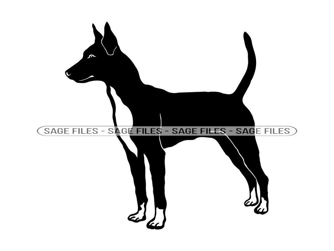 Portuguese Podengo SVG, Dog Svg, Portuguese Podengo Clipart, Portuguese ...