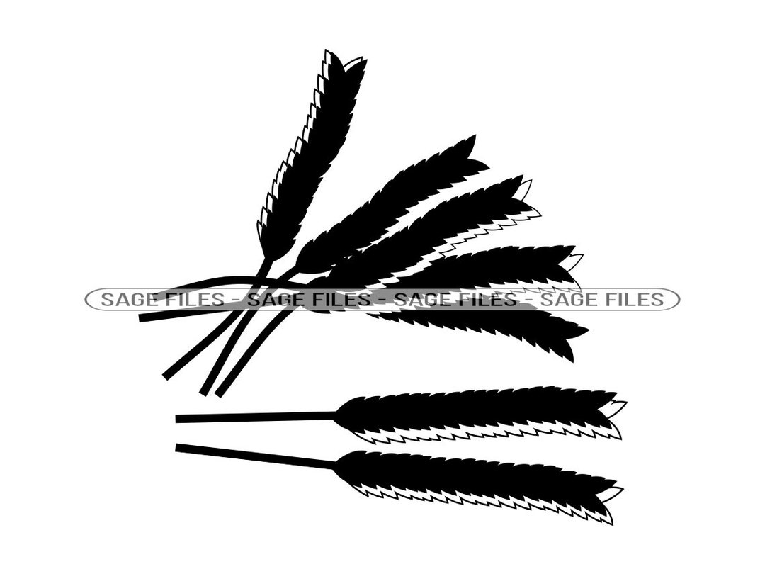 Trigo 3 SVG, trigo svg, grano svg, clipart de trigo, archivos de trigo ...