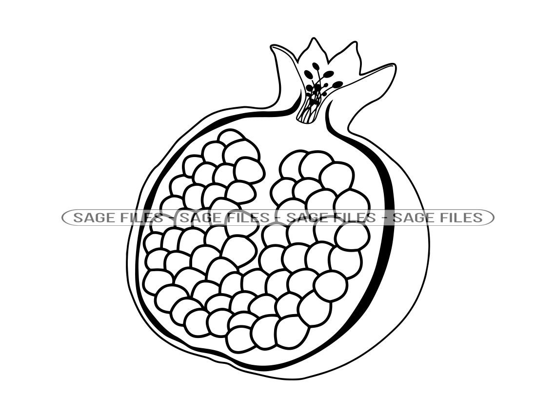 Buy Pomegranate Outline SVG Pomegranate SVG Fruit Svg Online in India ...