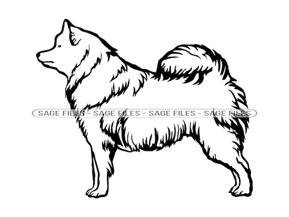 Samoyed SVG Dog Svg Samoyed Clipart Samoyed Files for - Etsy