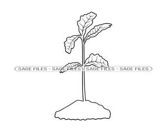 Sapling Tree Clipart - Etsy