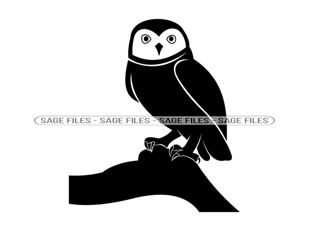 Owl 14 SVG Owl SVG Bird Svg Owl Clipart Owl Files for - Etsy New Zealand