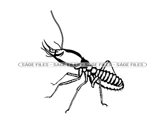 Termite 2 SVG Termite SVG Termite Clipart Termite Files - Etsy