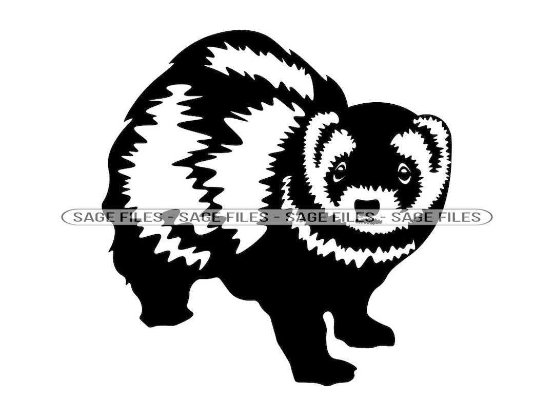 Ferret #5 SVG, Ferret SVG, Ferret PNG, Ferret Design, Ferret Clipart ...