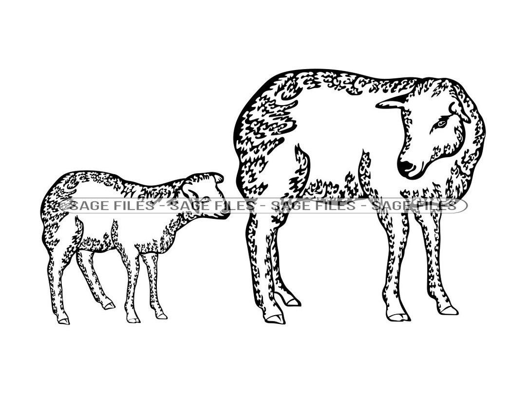 Mama Sheep SVG, Baby Sheep Svg, Farm Svg, Sheep Clipart, Sheep Files ...