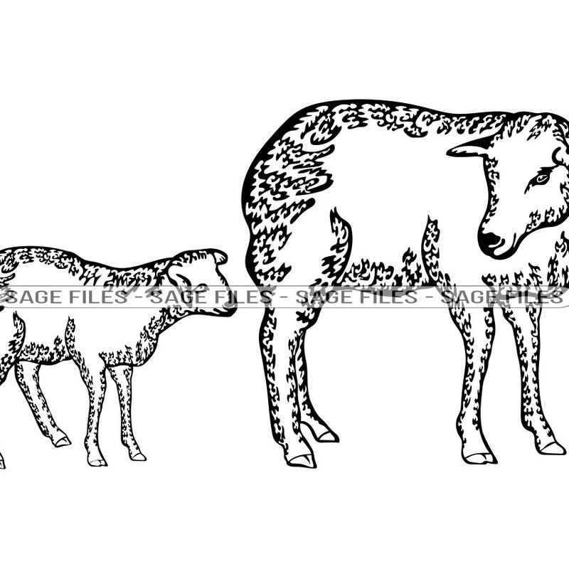 Baby Sheep Svg - Etsy