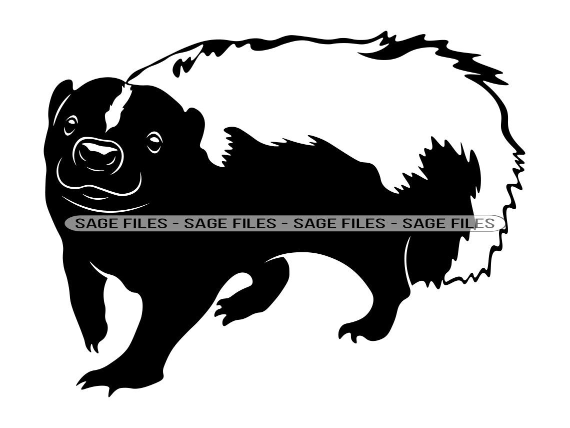 Skunk 6 SVG Skunk SVG Skunk PNG Skunk Design Skunk - Etsy