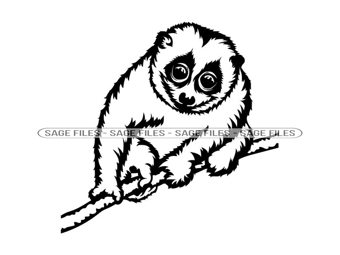 Slow Loris - Etsy