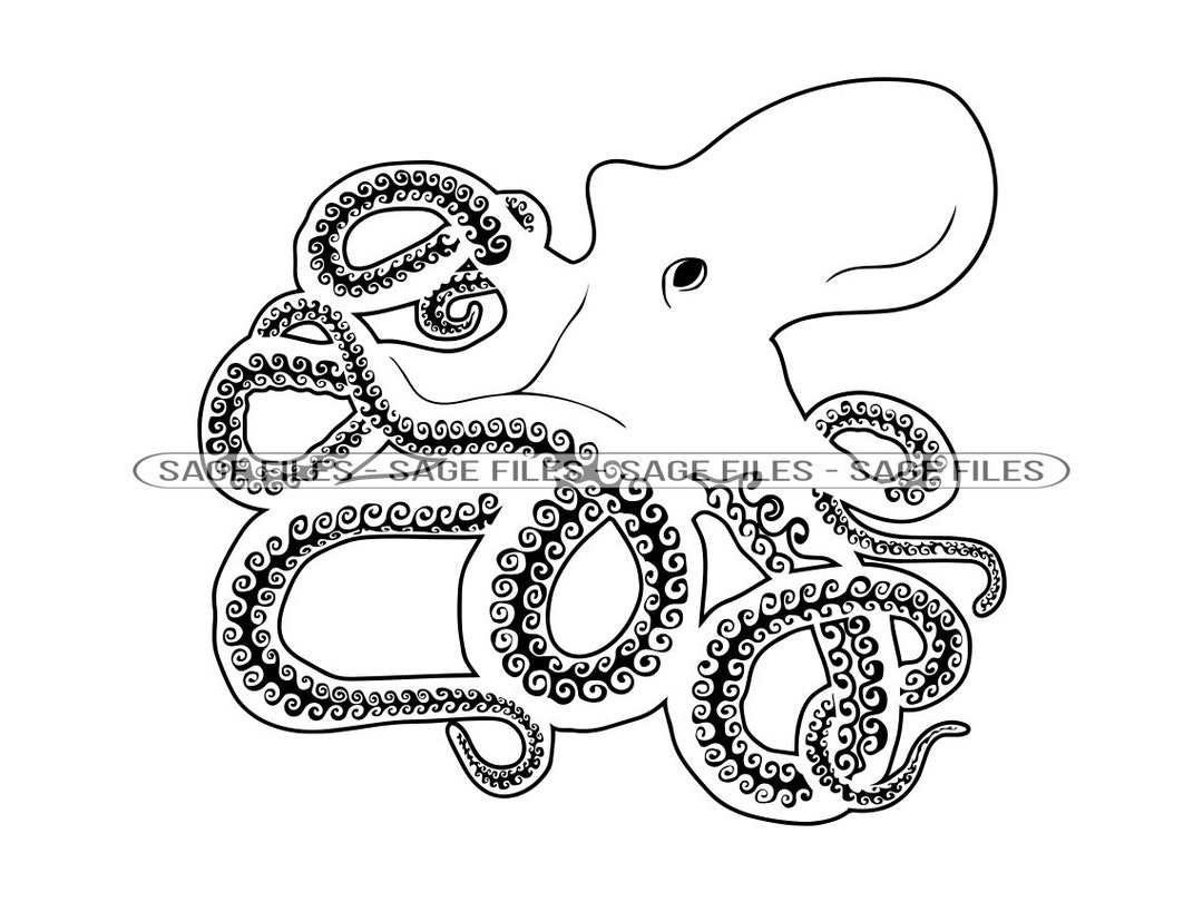 Octopus Outline SVG Octopus SVG Squid Svg Kraken Svg - Etsy New Zealand