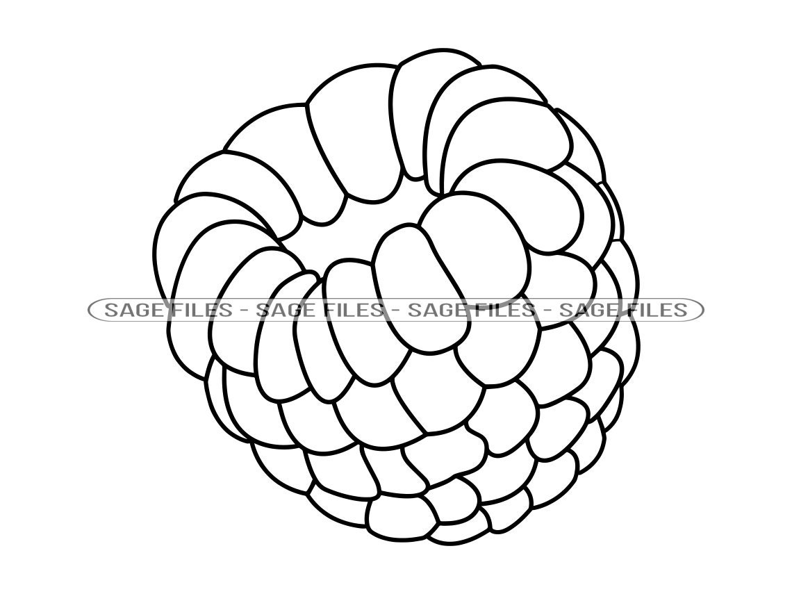 Raspberry Outline SVG, Raspberry SVG, Fruit Svg, Raspberry Clipart ...
