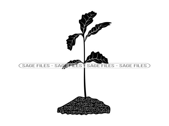 Sapling Tree SVG Tree Svg Planting Svg Gardening Svg - Etsy