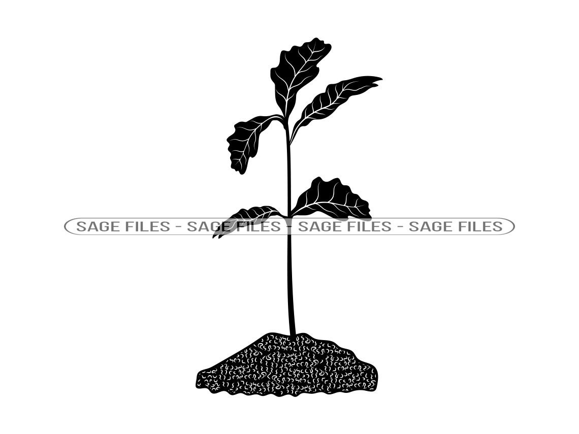 Sapling Clipart Black And White