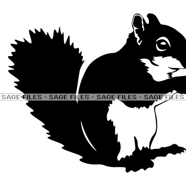 Squirrel Svg - Etsy
