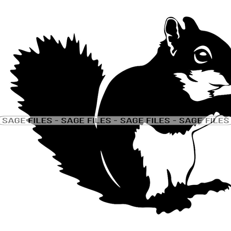 Squirrel Svg - Etsy