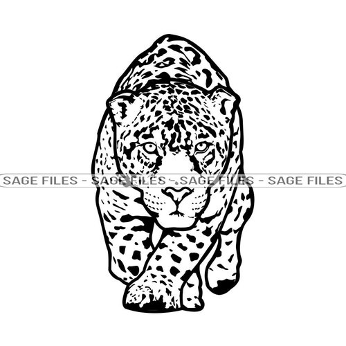Jaguar Head. Cut Files for Cricut. Clip Art Silhouette eps - Etsy