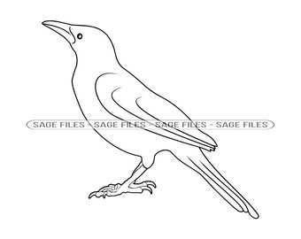 Flying Crow Outline Template