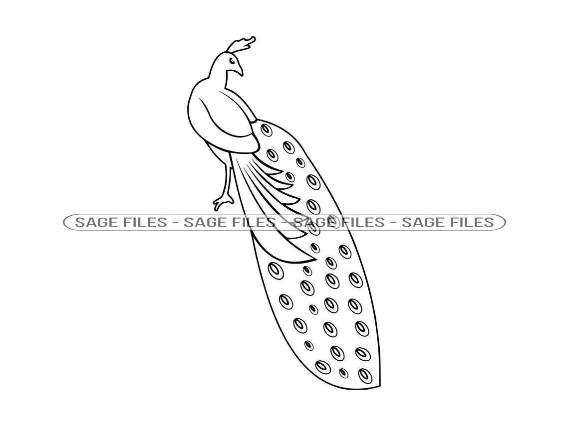 Peacock Outline 2 SVG Peacock SVG Peafowl Svg Peacock - Etsy UK