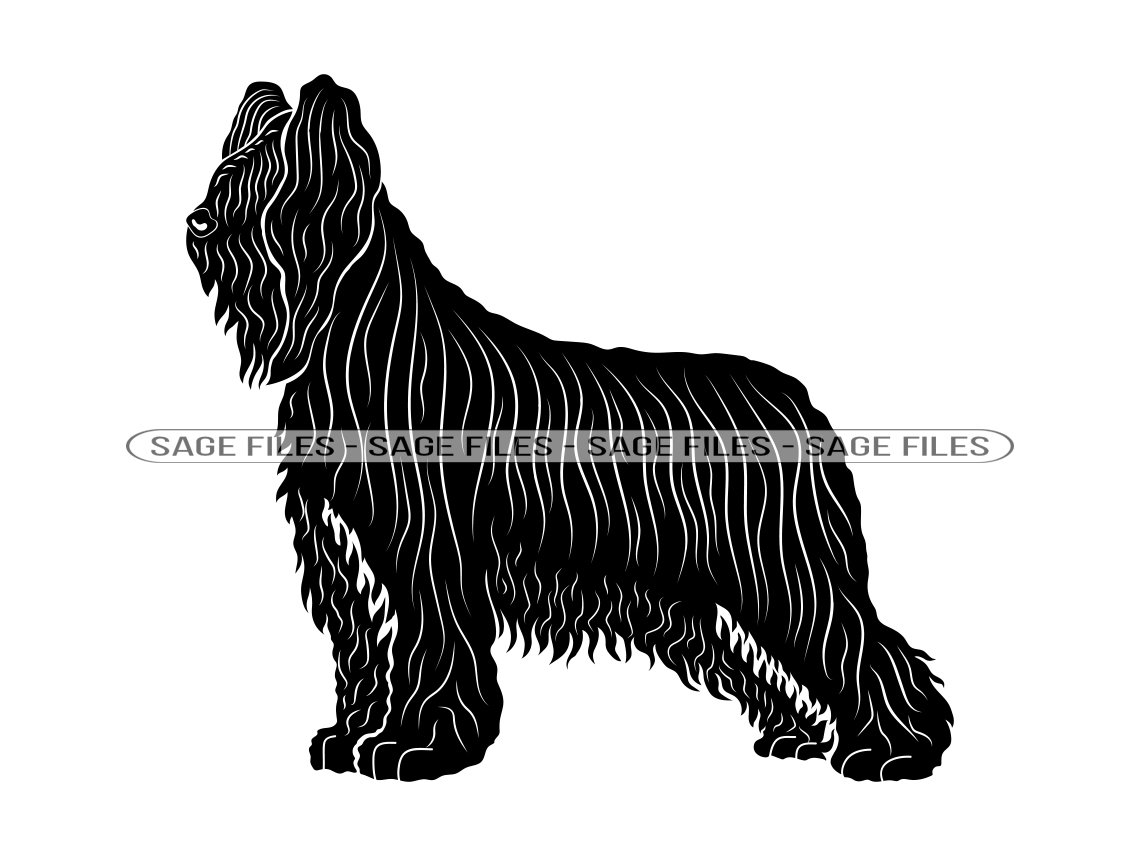 White Briard Dog