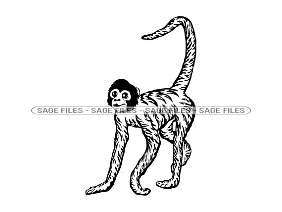 Spider Monkey SVG Monkey Svg Ape Svg Monkey Clipart Monkey - Etsy UK