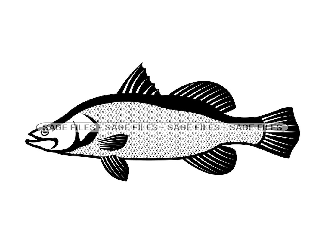 Barramundi SVG, Fishing Svg, Fish Svg, Fishing Clipart, Fishing Files ...