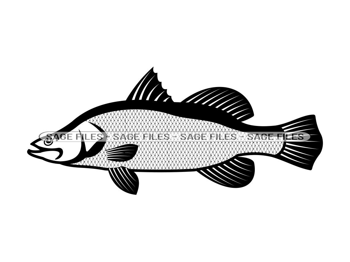 Buy Barramundi SVG Fishing Svg Fish Svg Fishing Clipart Online in India ...