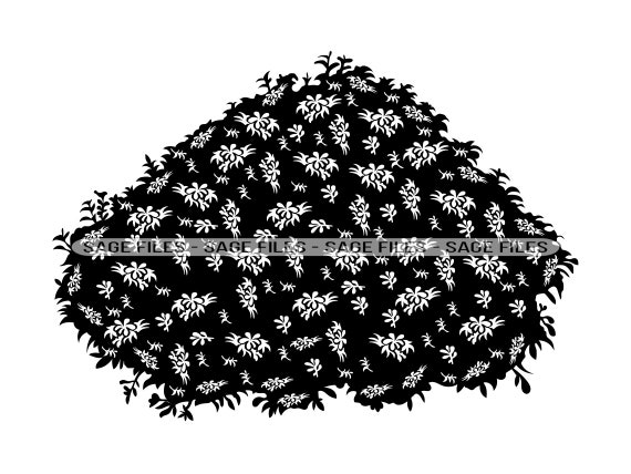 Bush SVG Shrub Svg Foliage Svg Bush Clipart Bush Files for - Etsy España