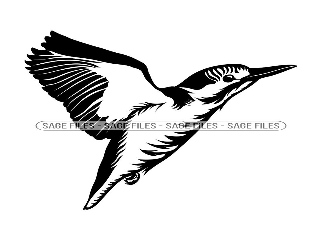 Kingfisher #3 SVG, Kingfisher SVG, Bird Svg, Kingfisher Clipart ...