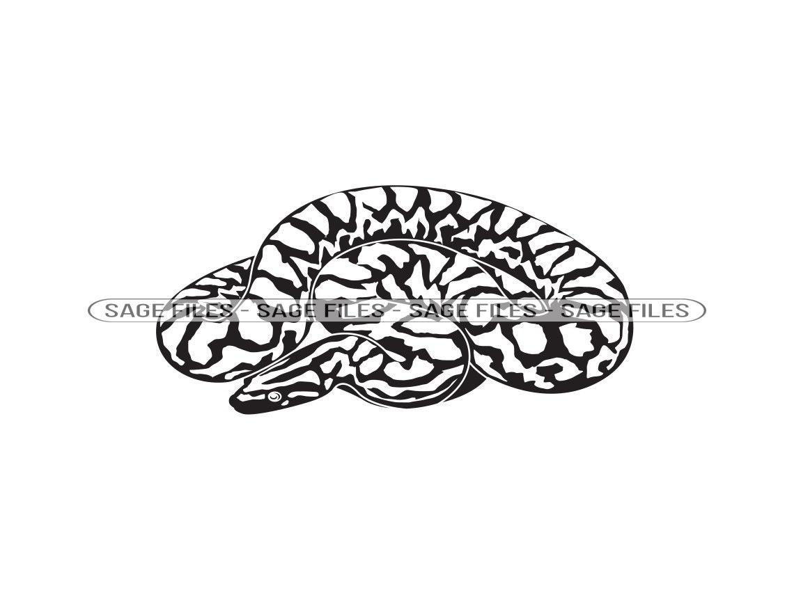 Anaconda 4 SVG Anaconda SVG Snake Svg Python Svg Anaconda - Etsy