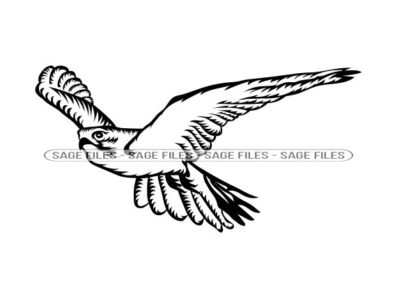 Flying Falcon Clip Art