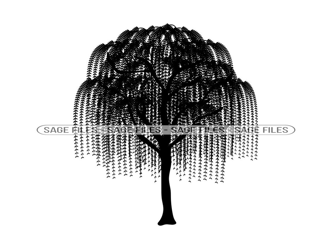 Willow Tree SVG, Tree Svg, Willow Tree Clipart, Willow Tree Files for ...