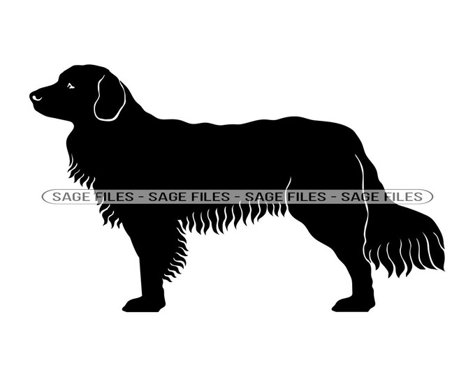 Nova Scotia Svg, Duck Retriever Svg, Nova Scotia Png, Duck Retriever ...