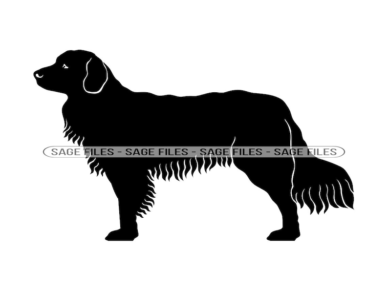Nova Scotia Duck Tolling Retriever SVG, Dog Svg, Clipart, Files for ...