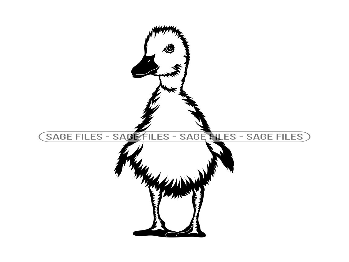 Baby Duck SVG Duckling Svg Duck SVG Baby Duck Clipart Baby - Etsy Australia