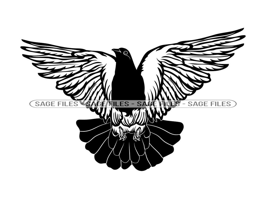 Pigeon SVG, Dove Svg, Bird Svg, Pigeon Clipart, Pigeon Files for Cricut ...
