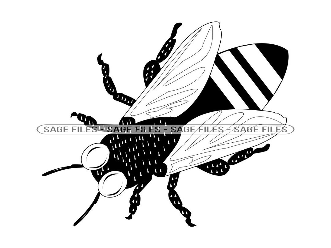 Fly 9 SVG, Fly Svg, Flies Svg, Insect Svg, Fly Clipart, Fly Files for ...