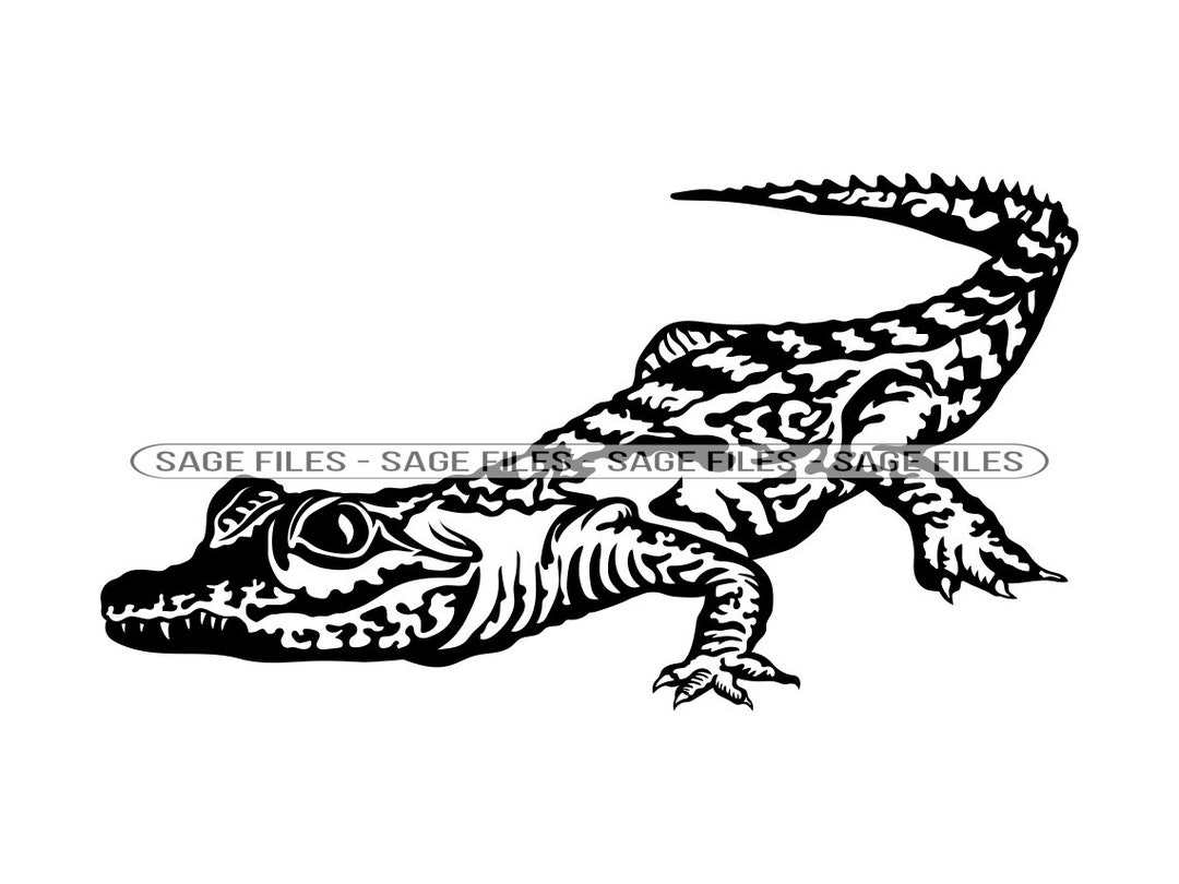Baby Crocodile SVG, Baby Alligator SVG, Crocodile Clipart, Crocodile ...