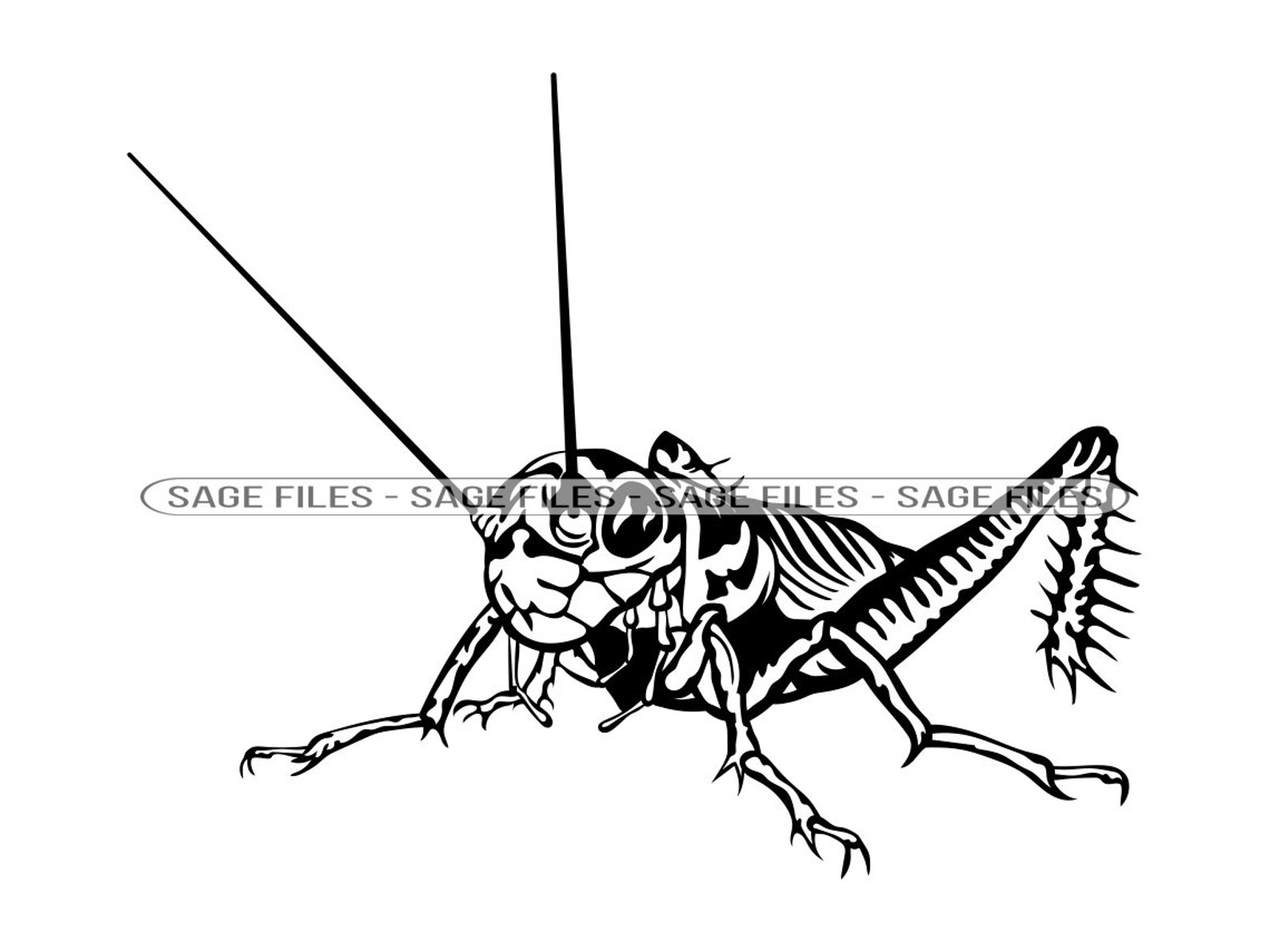 Cricket SVG Cricket Clipart Cricket Files for Cricut - Etsy