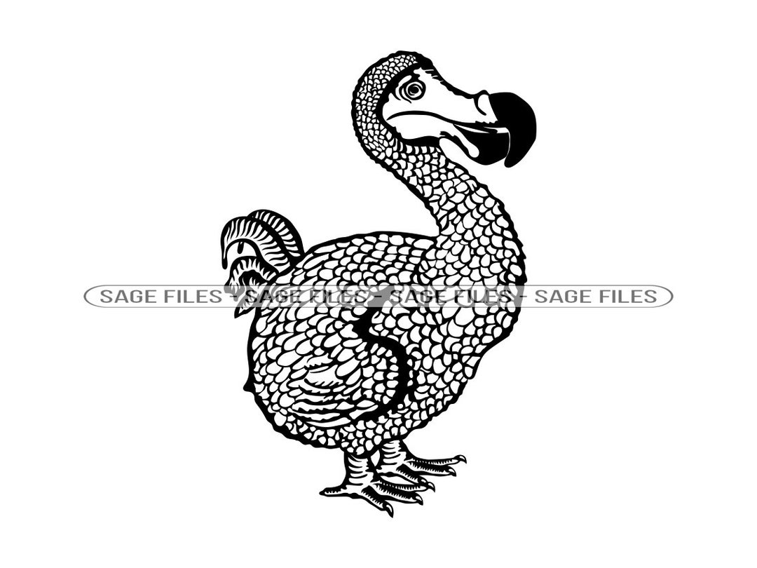 Dodo SVG, Bird Svg, Dodo Clipart, Dodo Files for Cricut, Dodo Cut Files ...