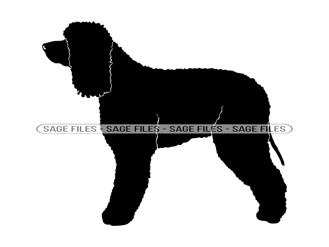 Irish Water Spaniel SVG, Dog Svg, Irish Water Spaniel Clipart, Irish ...
