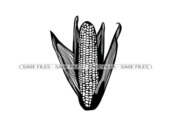 Corn Svg Corn Svg Maize Svg Farming Svg Corn Clipart Etsy | My XXX Hot Girl
