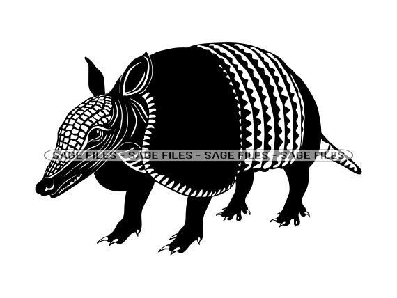 Armadillo 2 SVG Armadillo SVG Armadillo Clipart Armadillo - Etsy