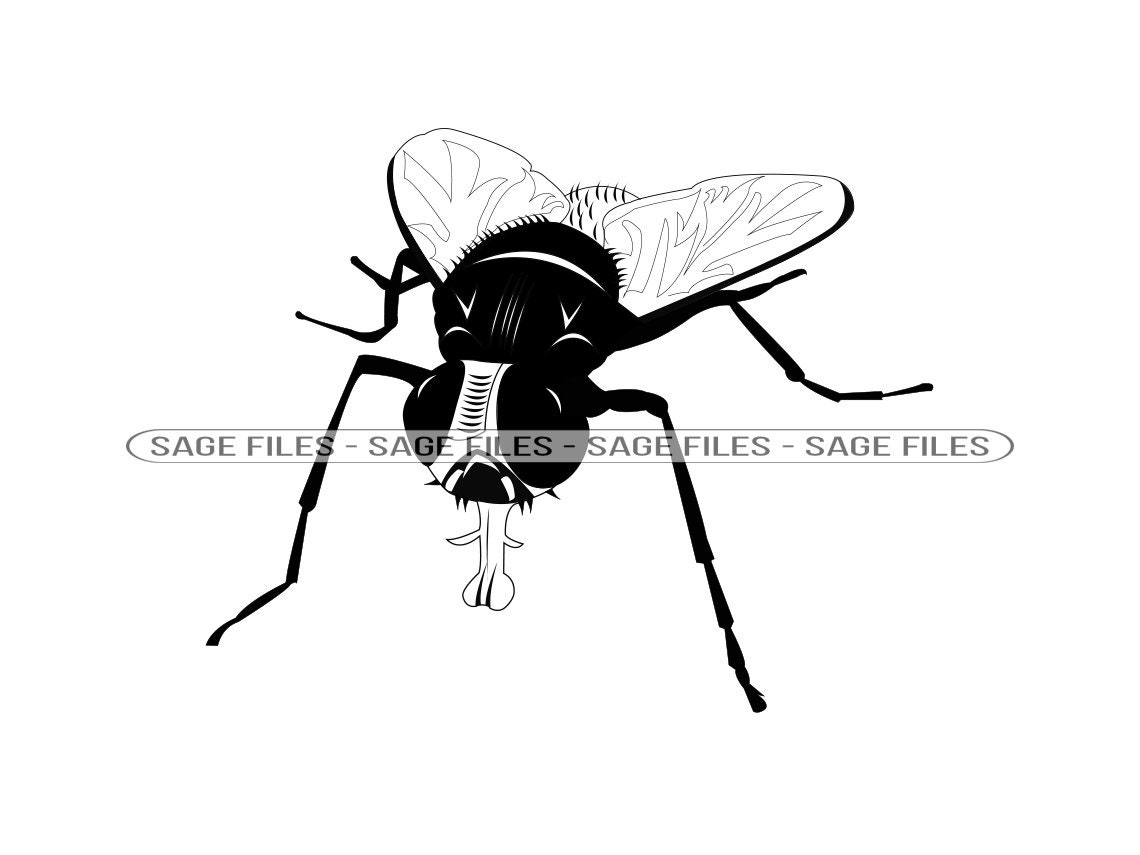 Fly 2 SVG Fly Svg Flies Svg Insect Svg Fly Clipart Fly - Etsy Canada