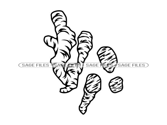 Ginger SVG Ginger Clipart Ginger Files for Cricut Ginger - Etsy Australia
